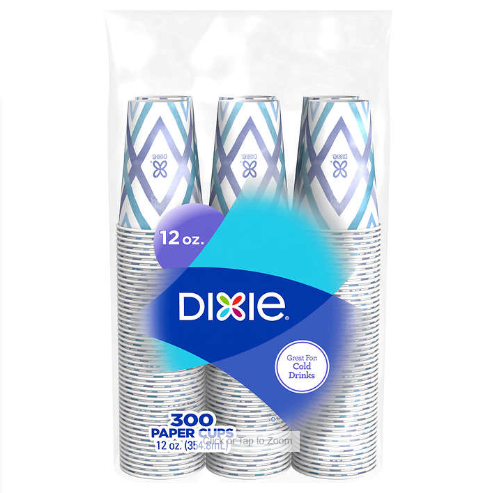 Dixie Cold Cups 12 oz 300 ct