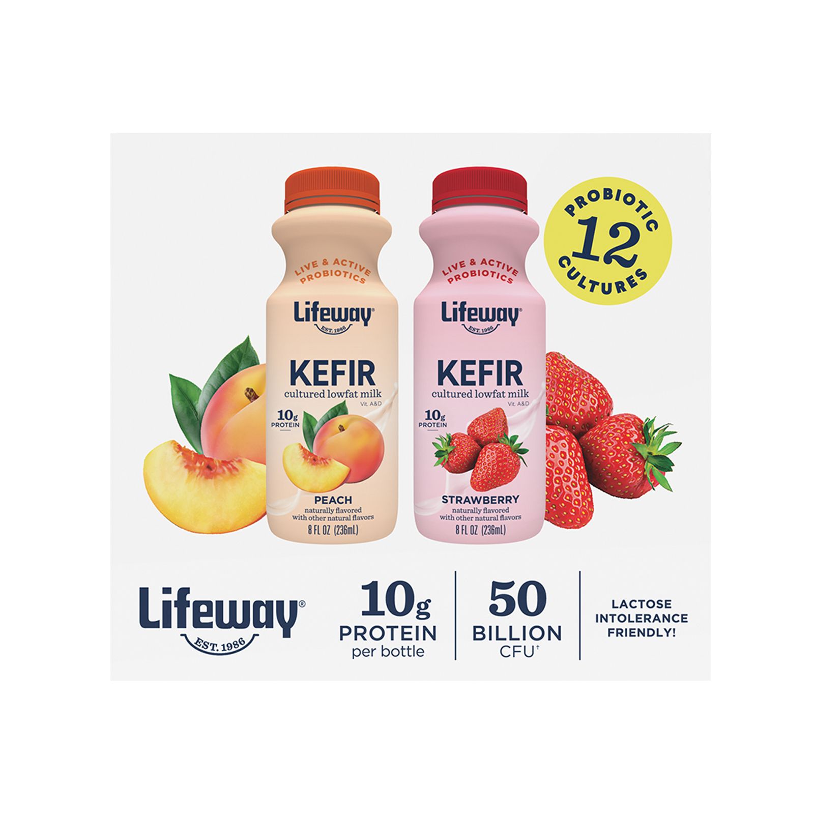 Lifeway Lowfat Kefir, Club Size Variety Pack, Strawberry, Peach, 8 oz ...